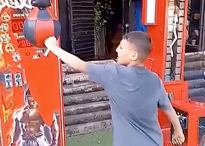 Boxer #2